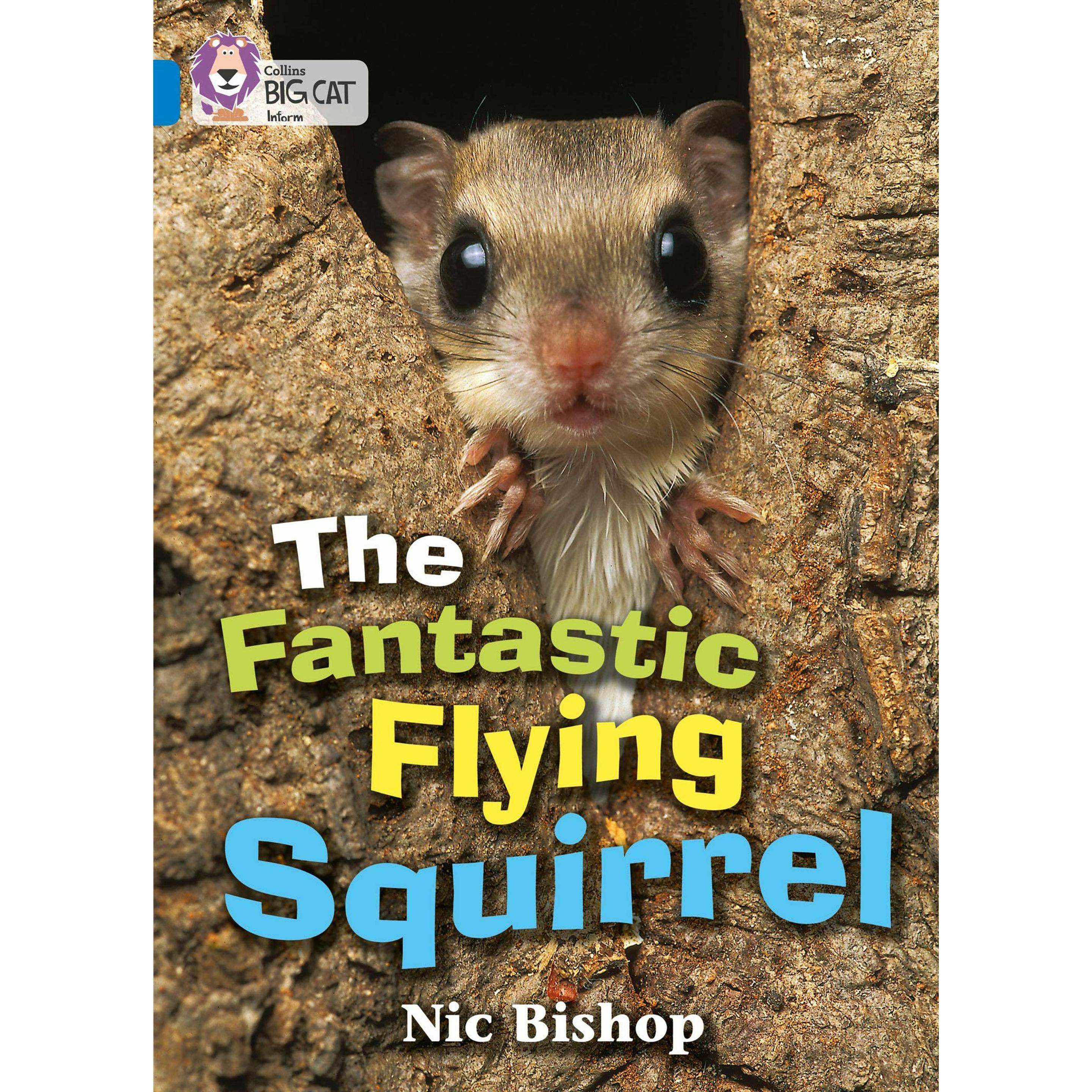 HarperCollins The Fantastic Flying Squirrel: An information book about ...