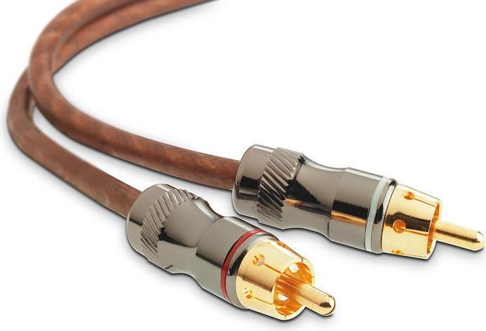 Focal EY5, Y-RCA (2 cables) - buy at Digitec